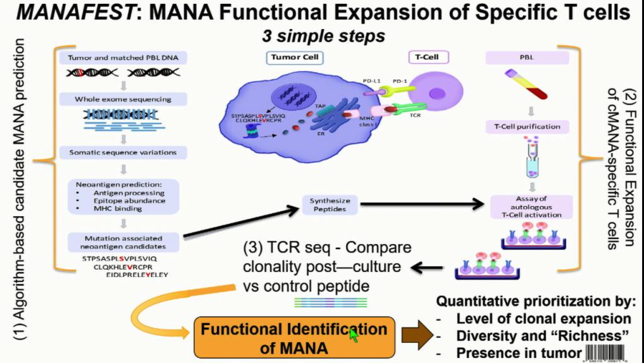 The Mutation-Associated Neoantigen Functional Expansion of Specific T ... The Mutation-Associated Neoantigen Functional Expansion of Specific T ...